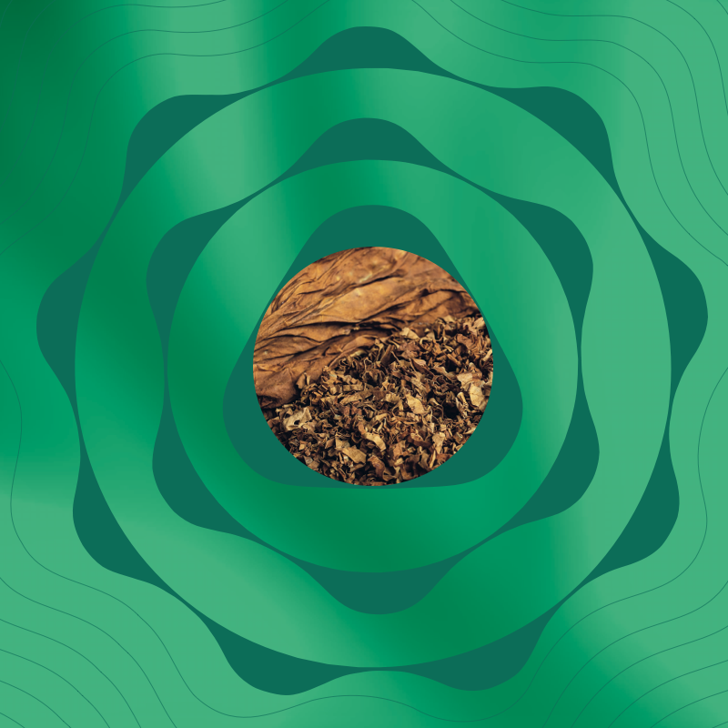 IQOS イルマ専用たばこ センティア クール ジェイド | IQOS（アイコス）公式サイト